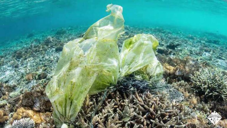 Single Use Plastic Awareness Program